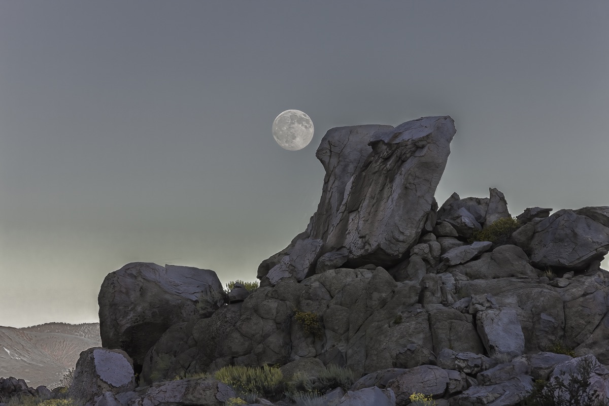 Refining Prostate Cancer Screening | Dr. Catalona